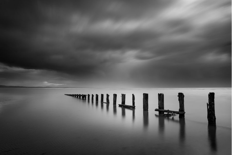 Die besten Schwarz-weiß-Fotos des Jahres 2020 - [GEO]