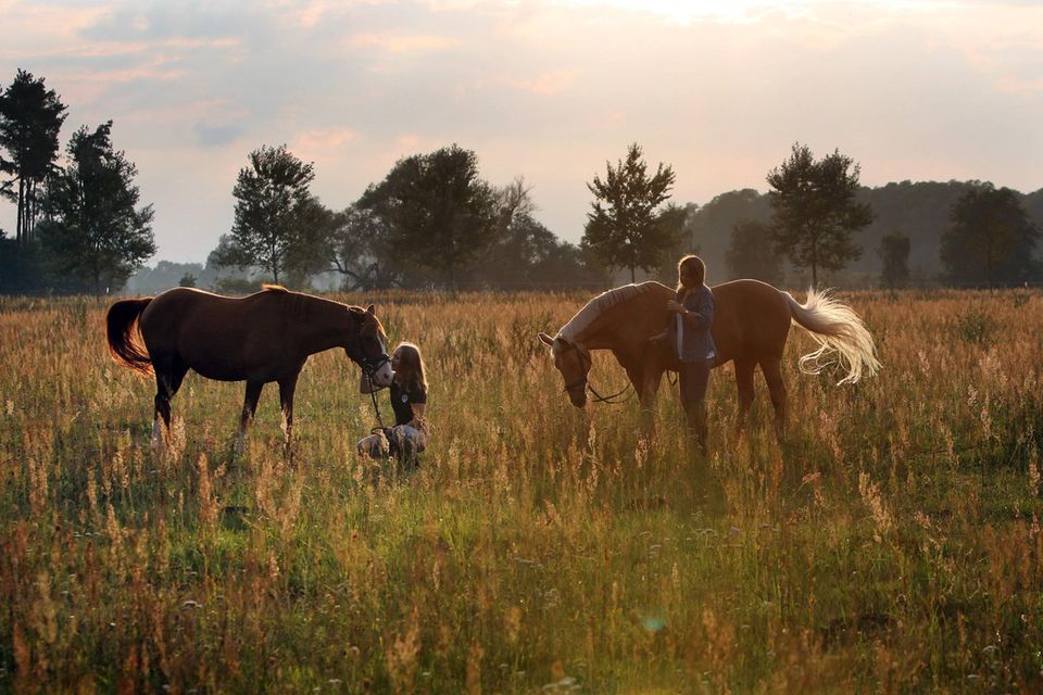Rund um Berlin: Neuer Radweg um Berlin - [GEO]