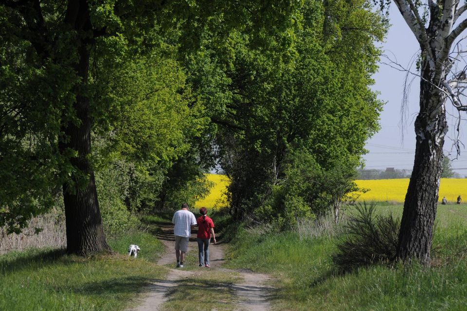 Rund um Berlin: Neuer Radweg um Berlin - [GEO]