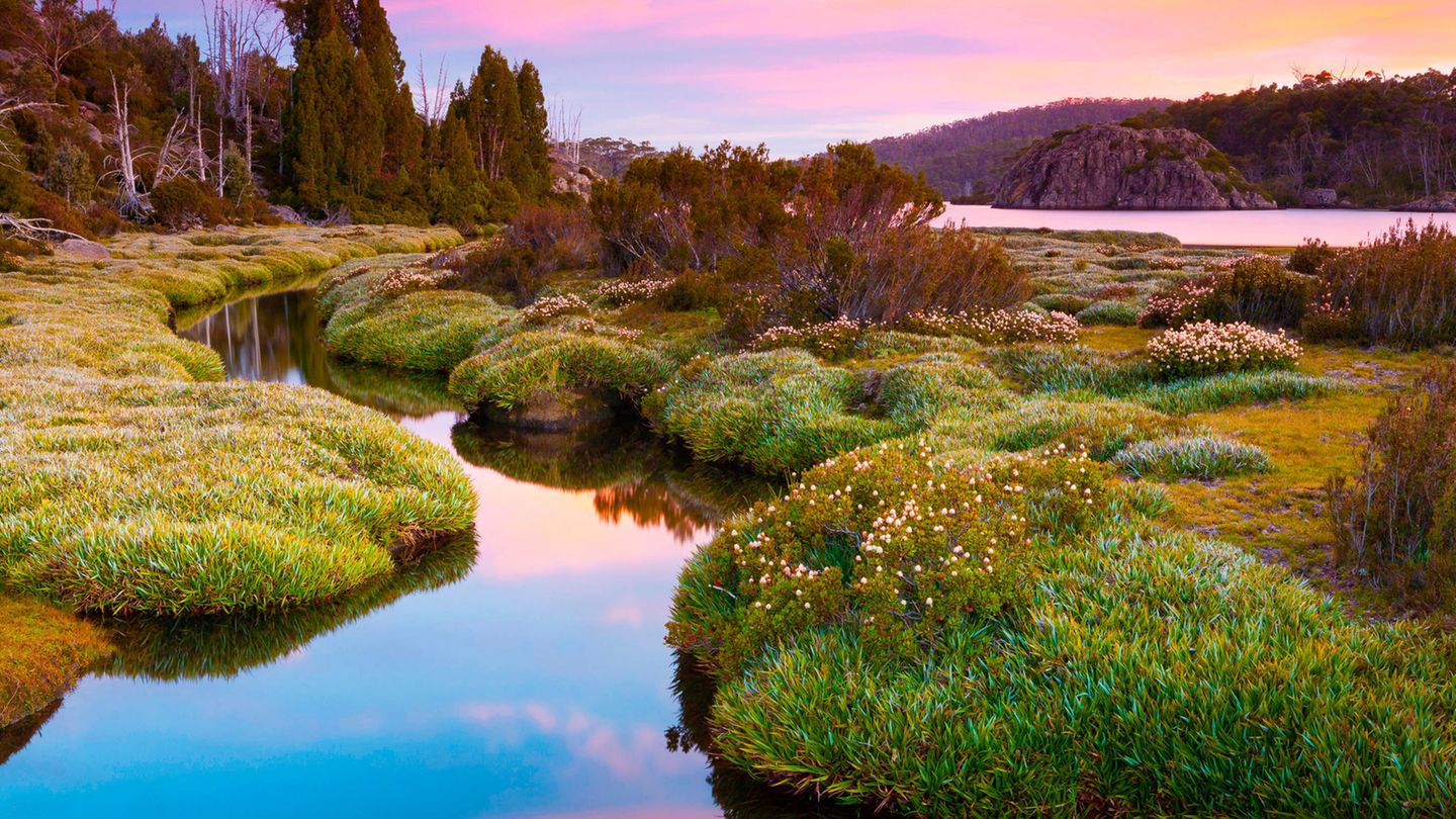 Tasmanien: Grünes Herz und Wildnis - [GEO]