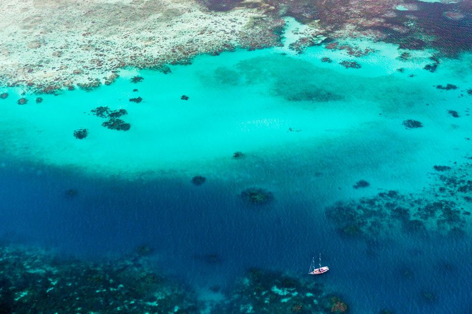 UNESCO will Great Barrier Reef als gefährdet einstufen - [GEO]