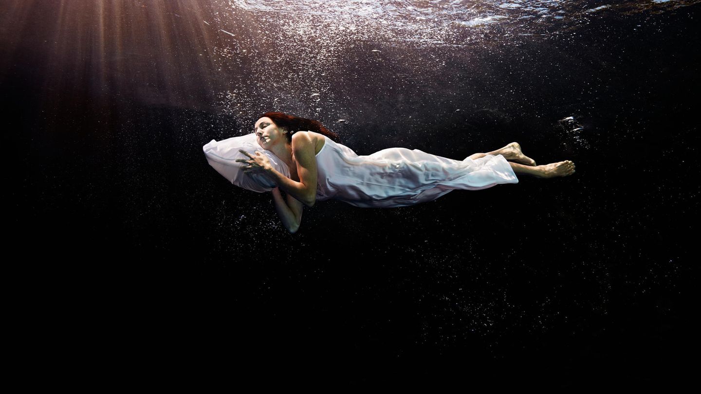 Im Labyrinth der Träume: Wie die Wissenschaft unsere Fantasien ...