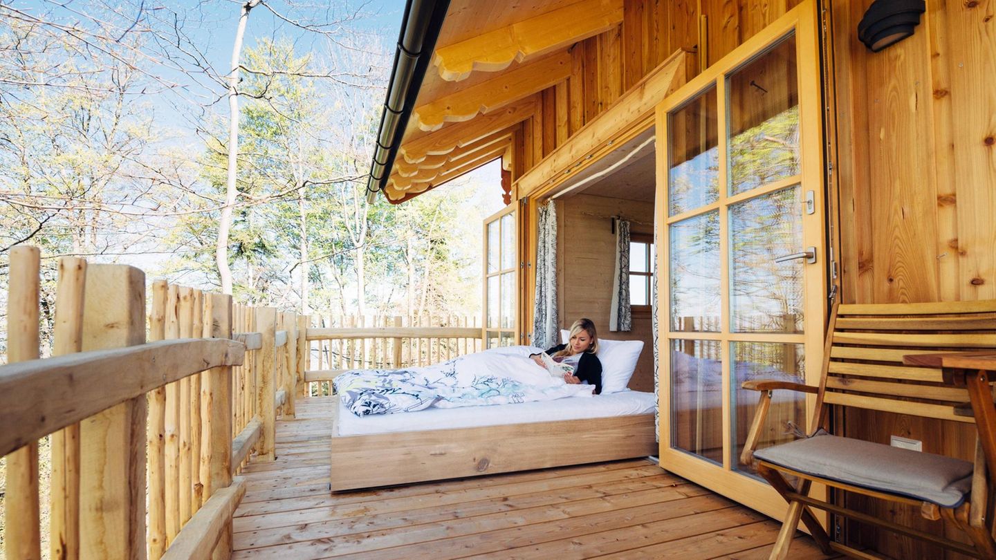 Imagedetaildas Baumhaus Ferienwohnung Im Baumhaus Baumhaus Samerberg 2022 09 01440115
