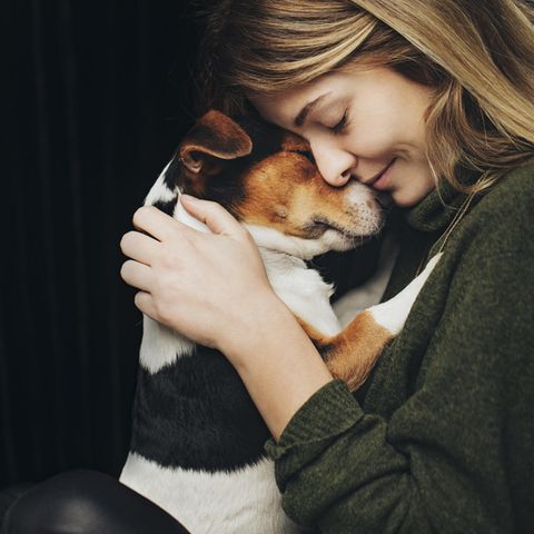 Psychologie: Wie können Tiere bei Therapien helfen? - [GEO]