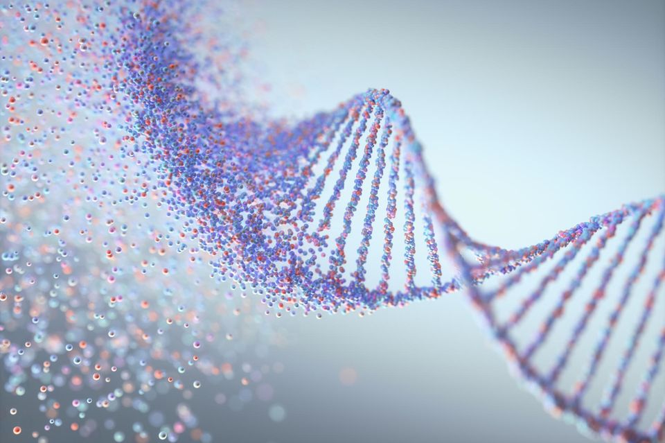 Unsere Autorin wagt den Selbstversuch – und schickt ihre Gene ins Labor ...