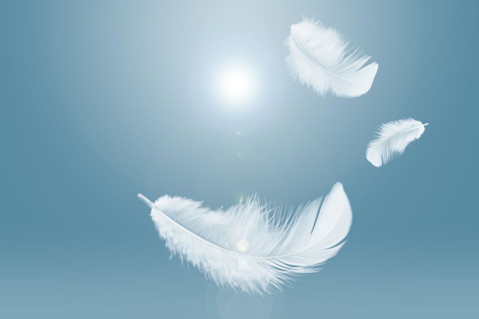 Physik im Alltag: Wir erklären, warum eine Feder fällt (GEOplus) - [GEO]