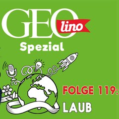 Herbstbasteln mit Kindern – So schöpft ihr Papier aus Laub - [GEOLINO]