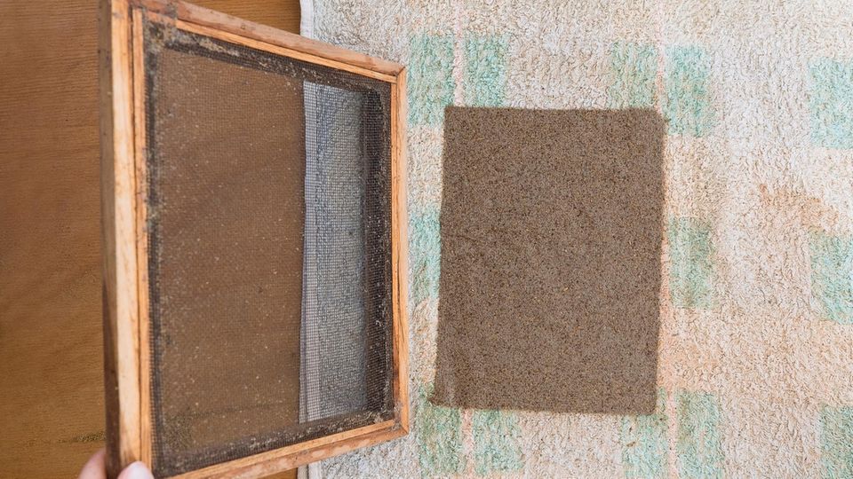 Herbstbasteln mit Kindern – So schöpft ihr Papier aus Laub - [GEOLINO]