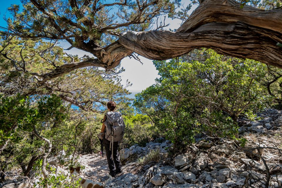 Auf dem Selvaggio Blu in Sardinien - [GEO]