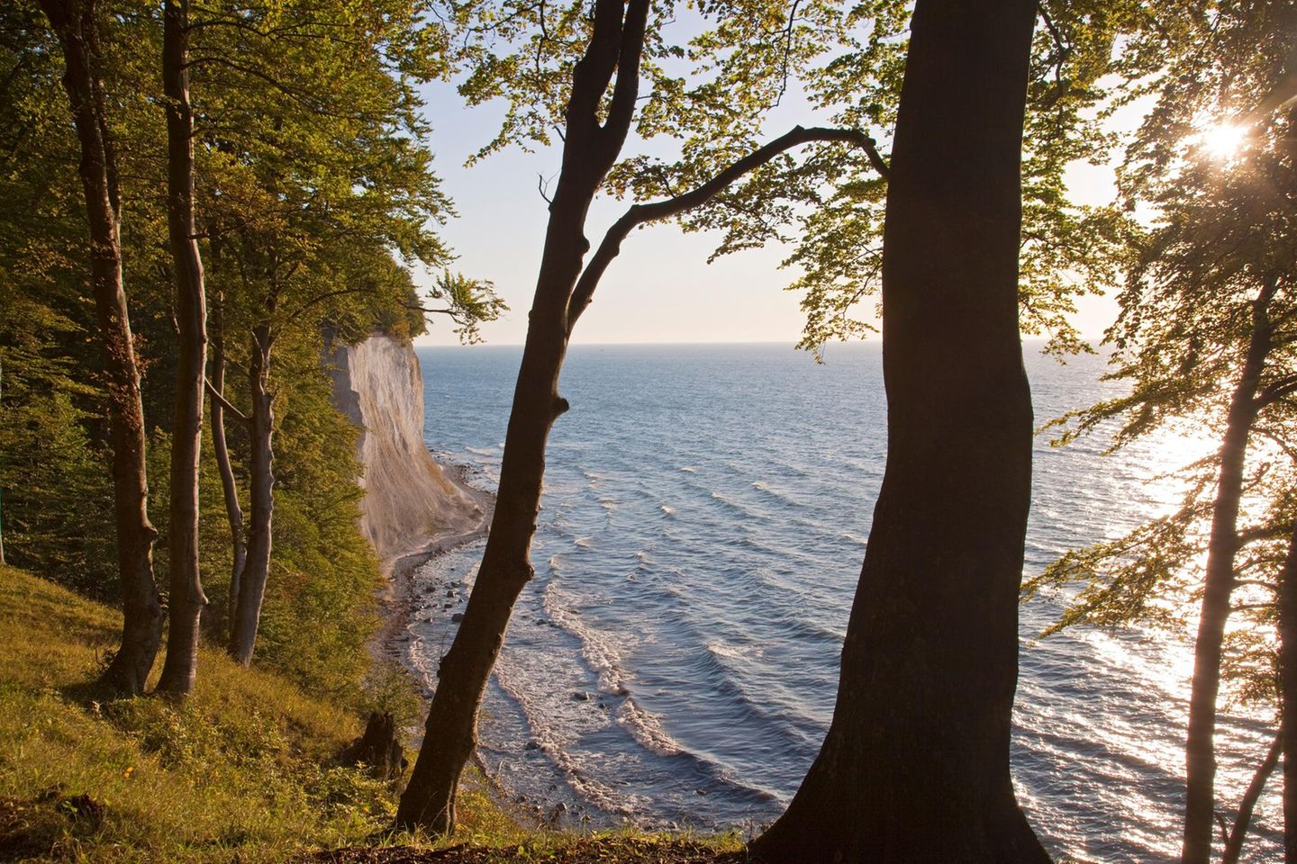 8 magische Wälder in Deutschland - [GEO]