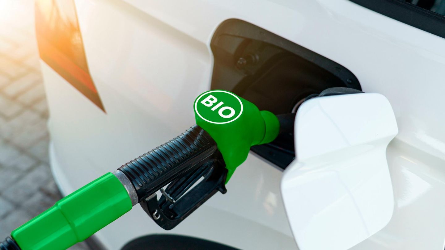 "Biosprit ist mitnichten klimafreundlicher als konventioneller Sprit ...