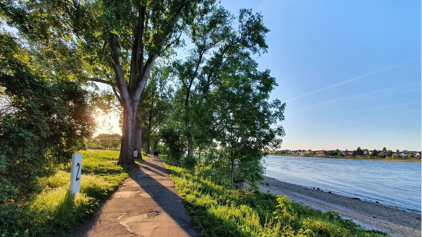 Rhein Radweg Schönster Abschnitt