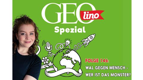 GEOlino Podcast: Wal gegen Mensch - Wer ist das Monster? - [GEOLINO]