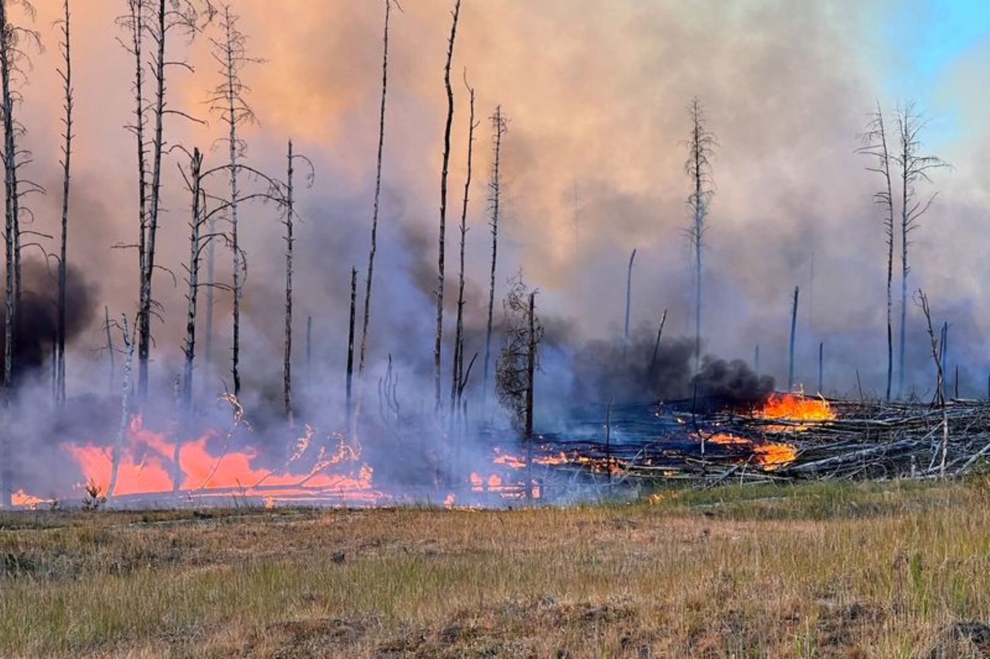 Waldbrände: So gefährlich ist Rauch für die Gesundheit - [GEO]