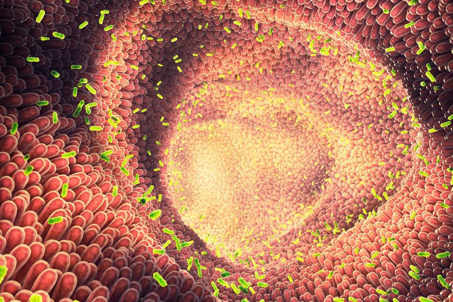 Studie: Darmbakterien beeinflussen unsere Intelligenz - [GEO]