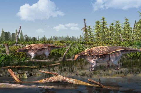 Großbritannien: Neue Dinoart mit Stachelpanzer beschrieben - [GEO]