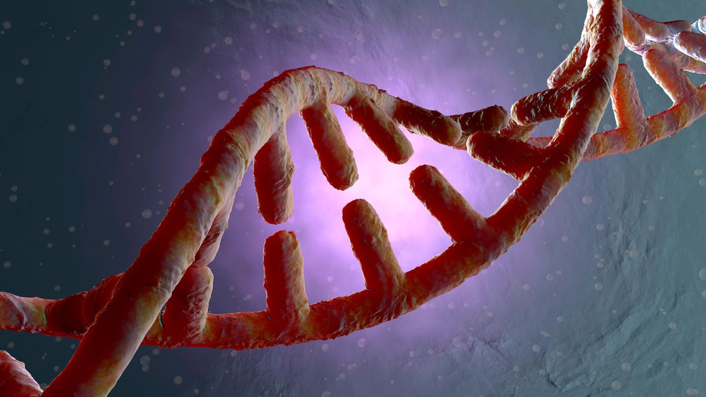 Gene: Was ist das eigentlich? - [GEO]