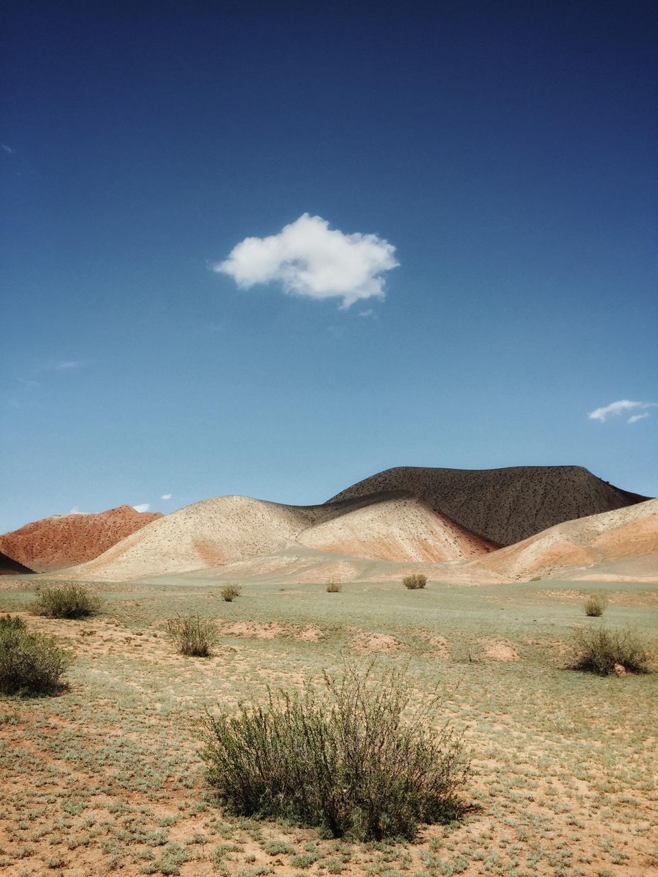 Ippawards 2023: Die schönsten iPhone-Fotos der Welt - [GEO]