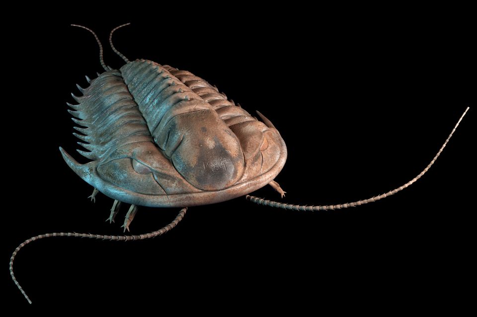 Diese Urzeittiere gab es wirklich – von einem stammen wir ab - [GEO]