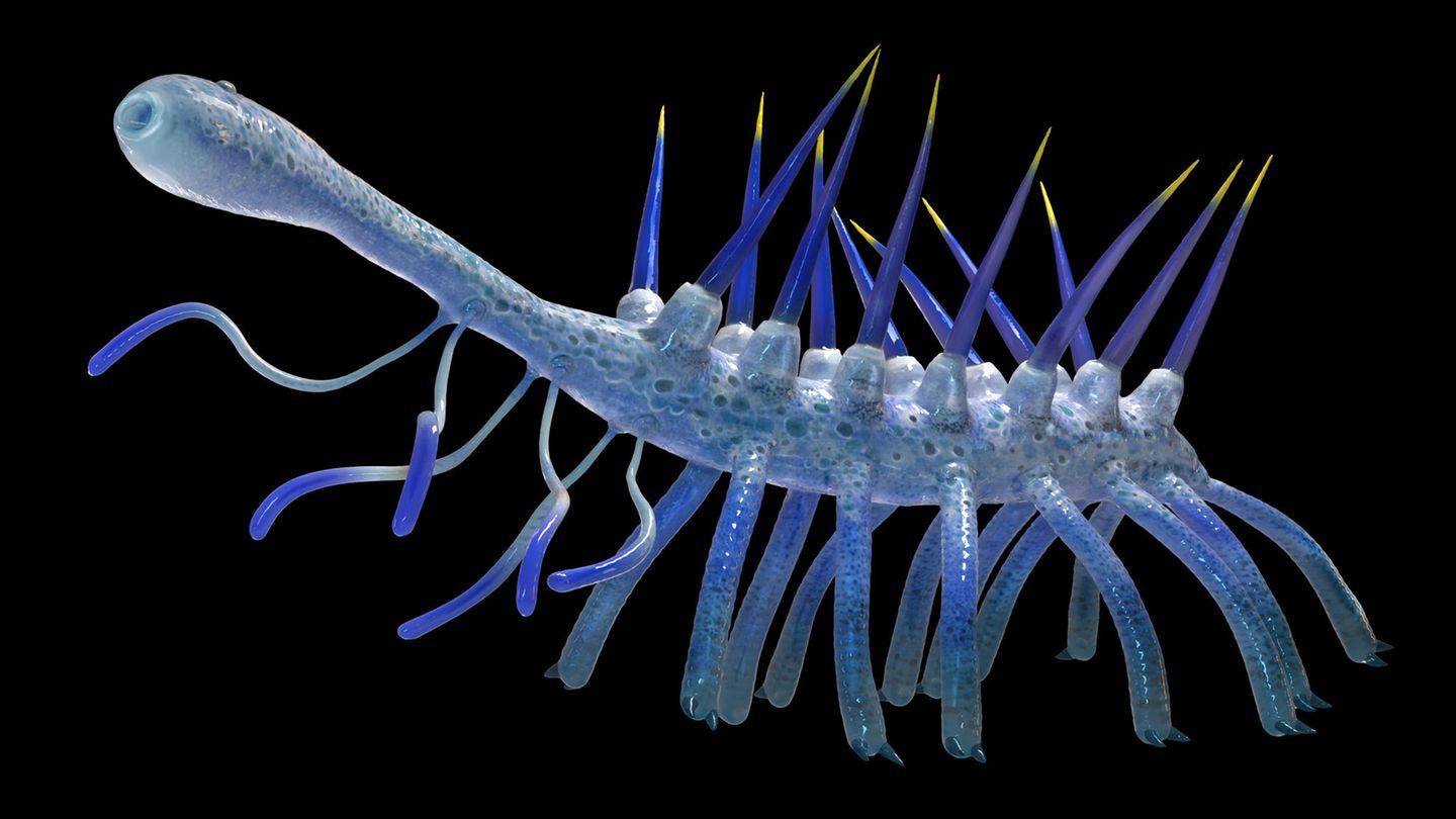 Diese Urzeittiere gab es wirklich. Wir stammen von einem ab - [GEO]