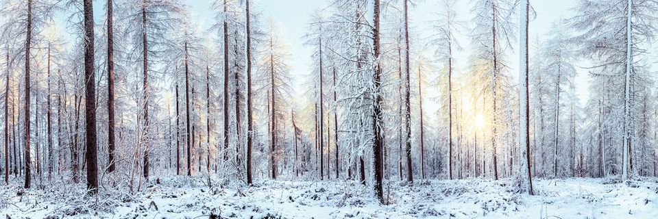 Jason Denning: Eindrucksvolle Panoramafotografie - [GEO]