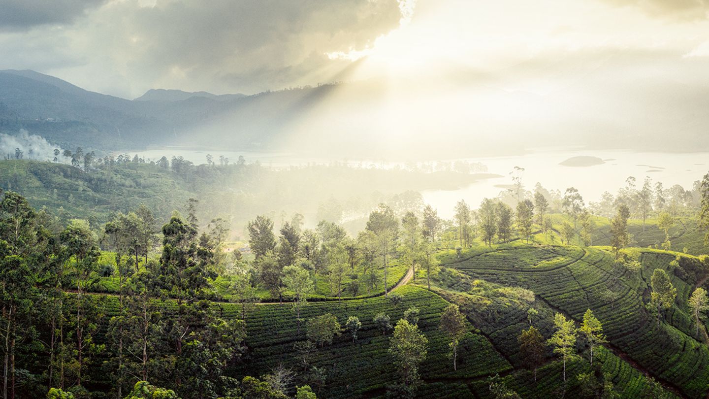 Jason Denning: Eindrucksvolle Panoramafotografie - [GEO]