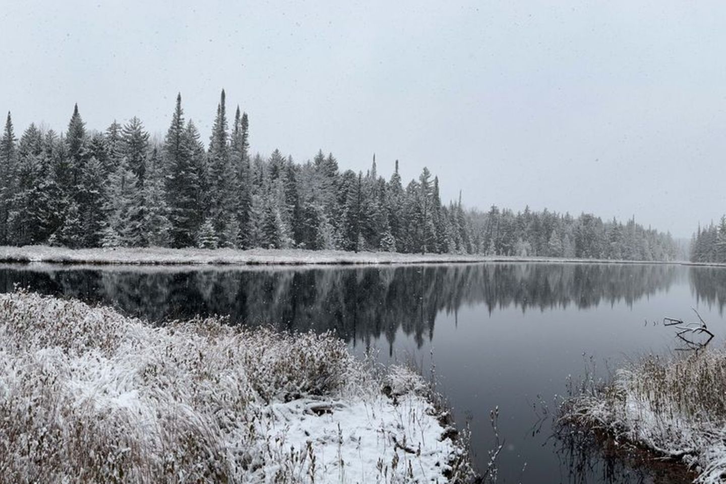 Wissenschaft: Wasser in Seen wird brauner - Kaltwasserfische leiden - [GEO]