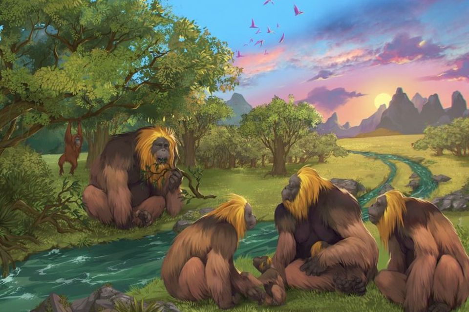 Evolution: Wann und wie der größte Menschenaffe verschwand - [GEO]