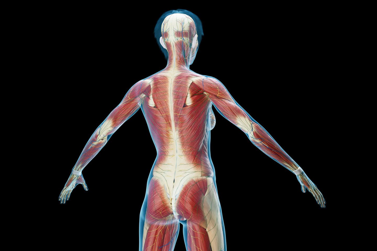 Verwunderlich Faszien Lsen Mit Vibration Ebenbild