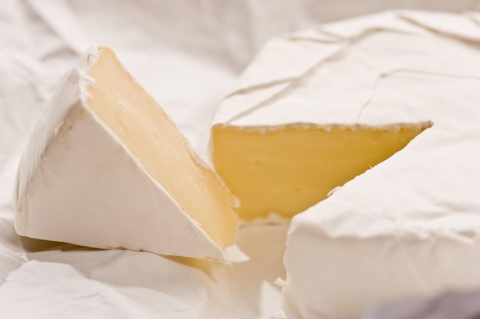 Camembert: Forschende warnen vor Ende des Pilzes - [GEO]