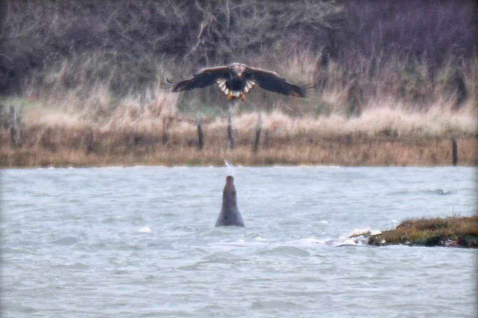 Magische Fotografie: Die besten Polarlicht-Fotos 2023 - [GEO]