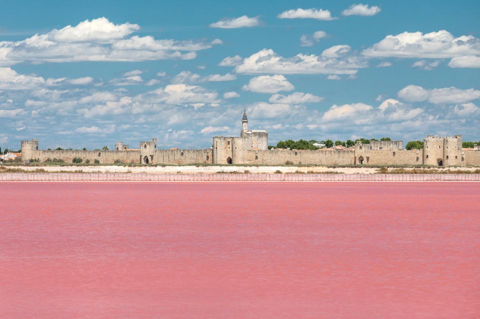 Die Camargue: Eine Liebeserklärung an die Provence - [GEO]