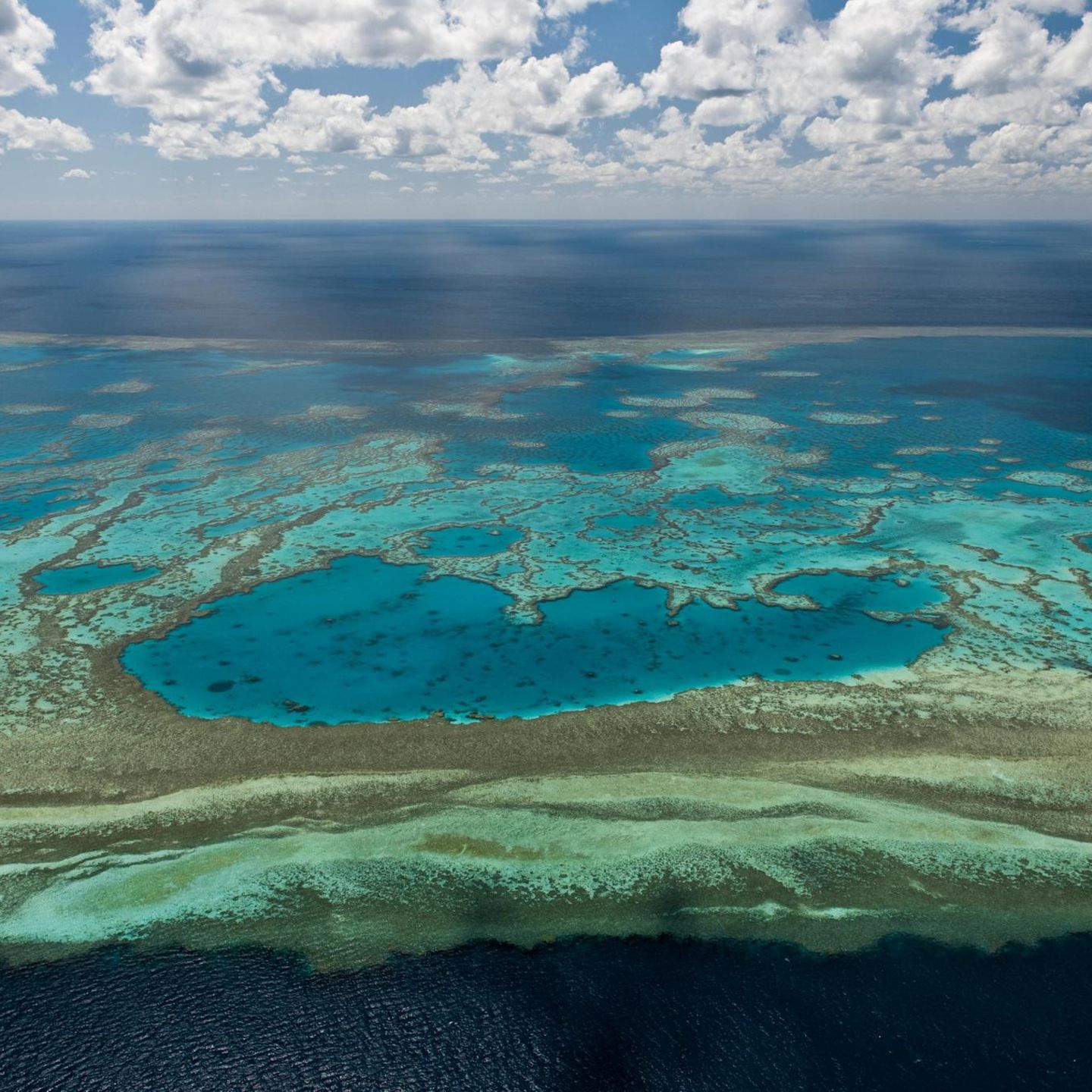 Great Barrier Reef: Im Einsatz für das Überleben der Korallen - [GEO]