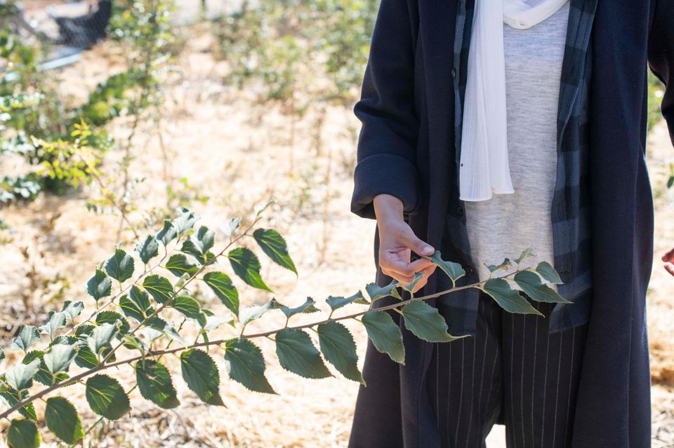 Wie Deema Assaf ein neues Ökosystem für Jordanien baut - [GEO]