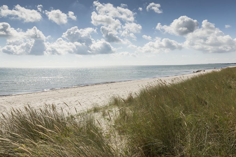 Marielyst: Meer erleben in Dänemark - [GEO]