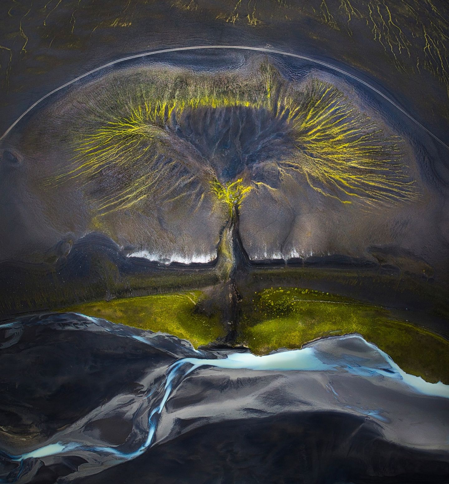 "Tree of Life" – Isabella Tabacchi - [GEO]