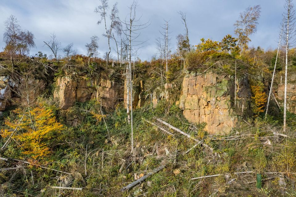 Aus für Nationalpark Egge: Furcht und Fakes haben über die Vernunft ...