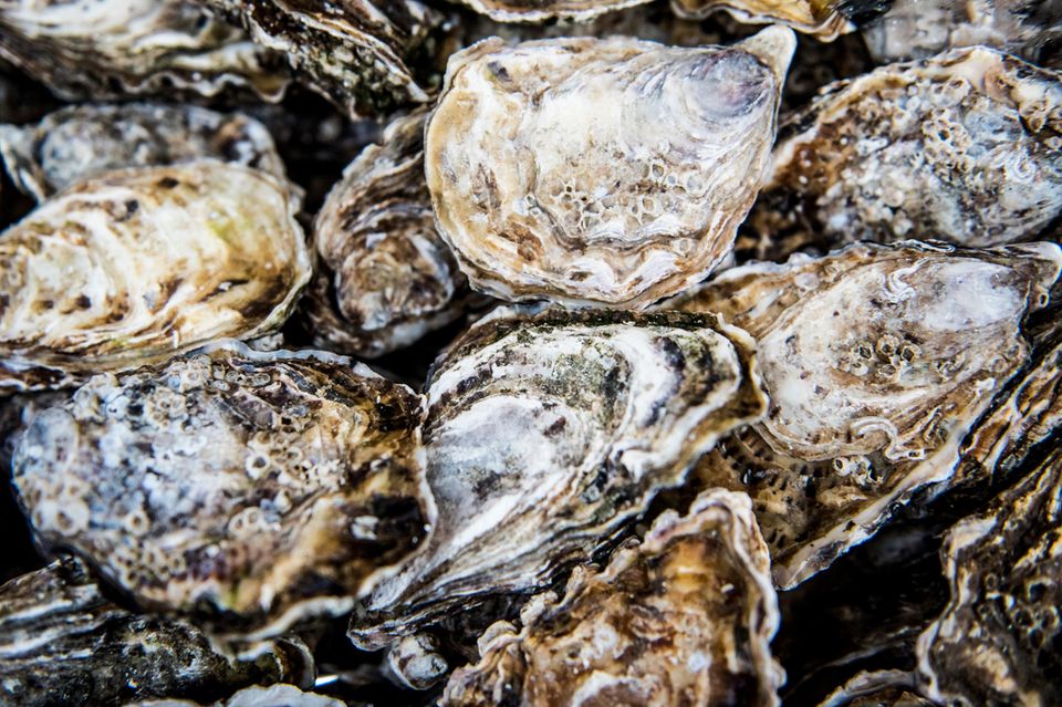 180 Kilometer Wasser zwischen Nord- und Ostsee: Der magische Limfjord ...