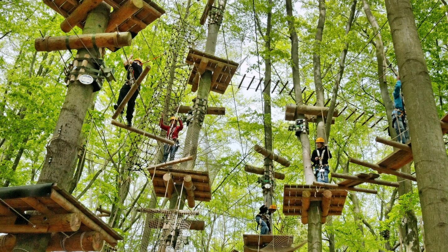 Ausflugstipp: Klettergärten in Deutschland - [GEO]