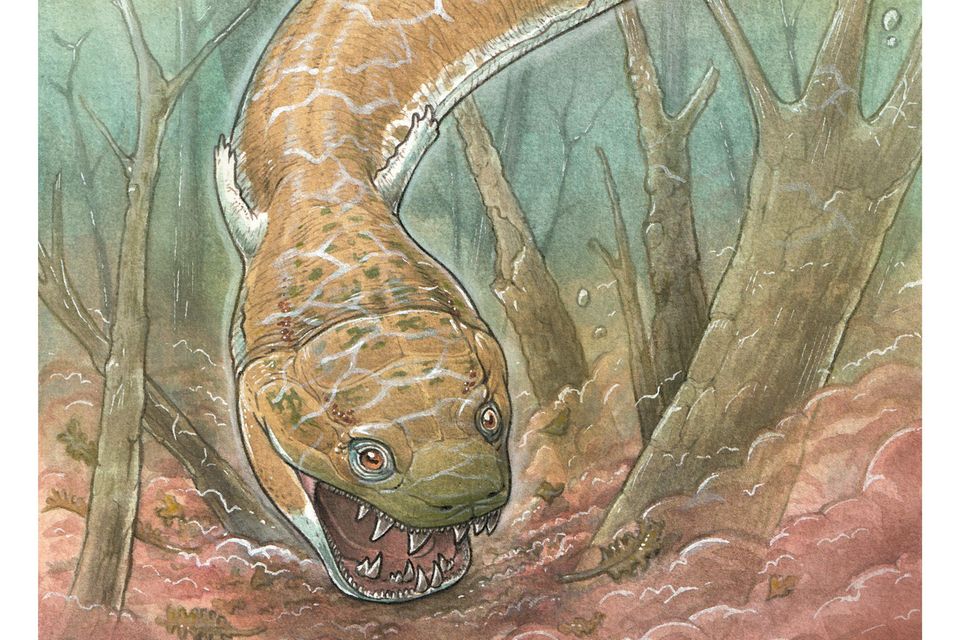 Paläontologie: Sumpf-Kreatur aus der Urzeit entdeckt - [GEO]