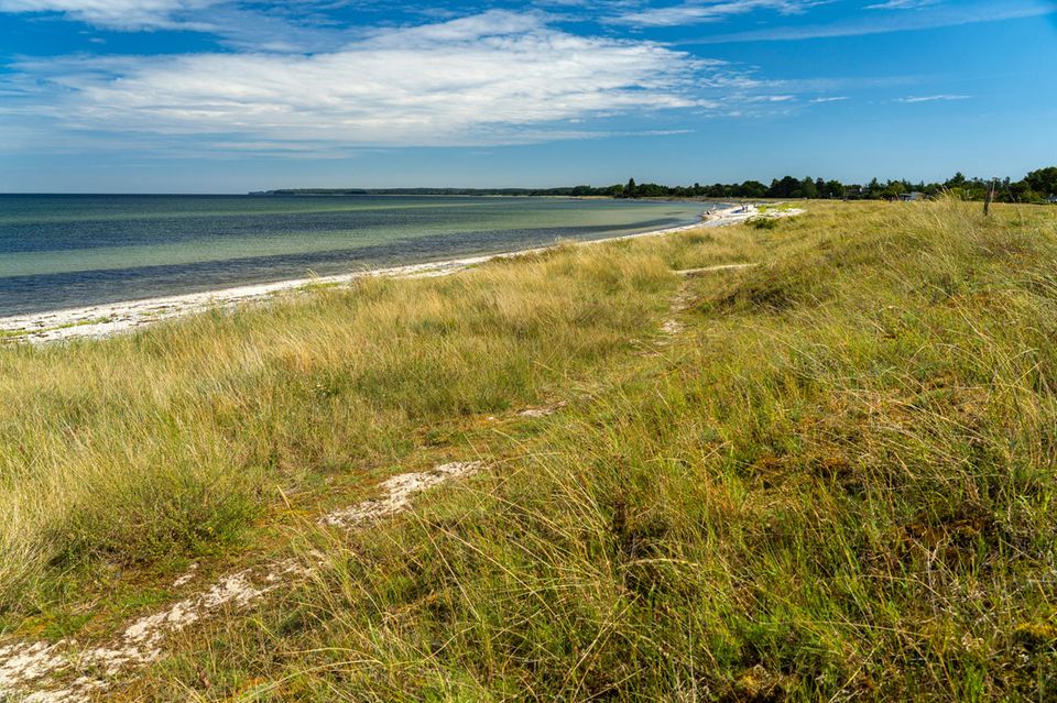 Ulvshale: zwischen Moor und Strand - [GEO]