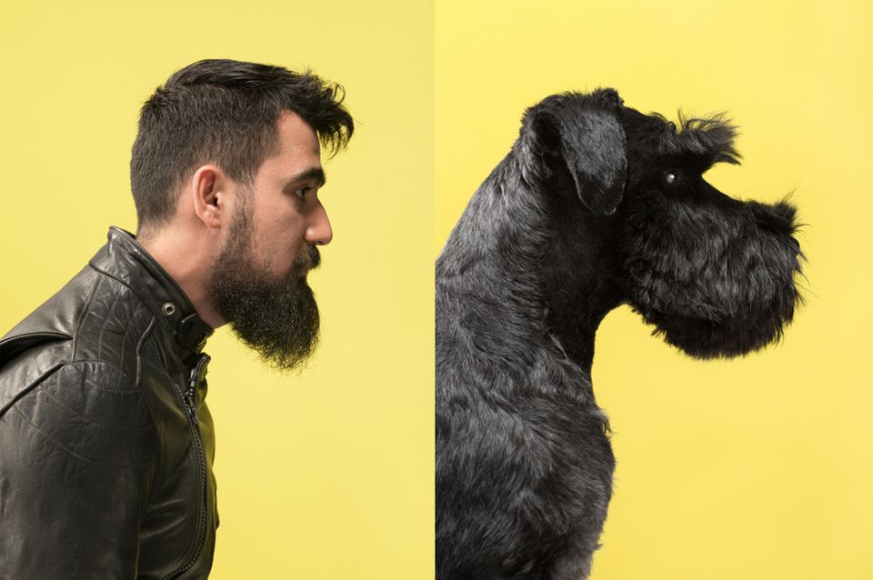 Tierfotografie: Wie der Hund, so der Mensch: Wenn Vierbeiner wie ihre ...
