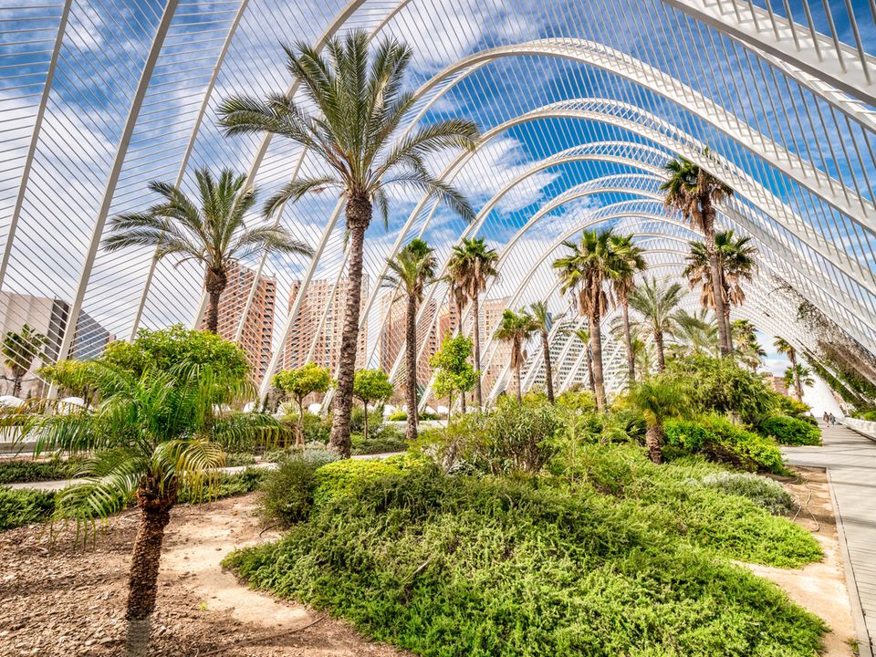 Valencia: die besten Sehenswürdigkeiten und Tipps - [GEO]
