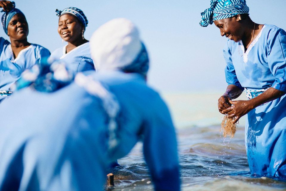 Fliegende Frauen, schwimmende Drachen: Die besten GEO-Bilder des Jahres - [GEO]