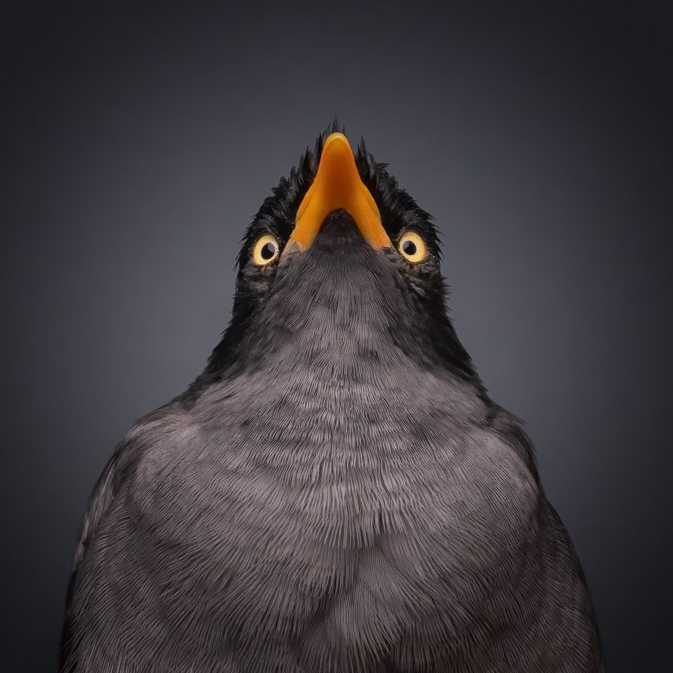 reFokus Award: Ausgezeichnete Fotografien des Jahres 2024 - [GEO]