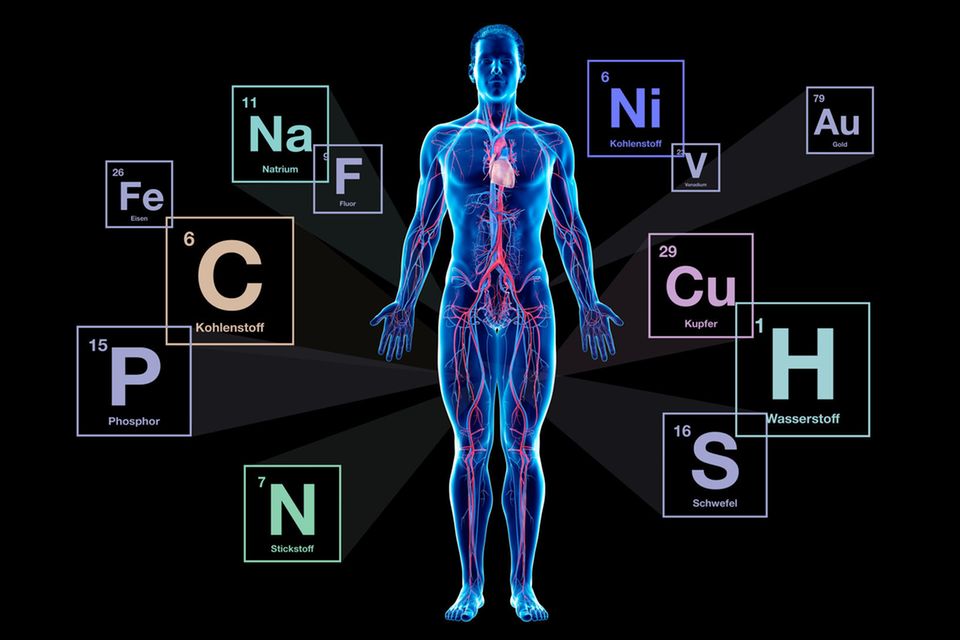 Chemie des Menschen: Gold, Uran und Co.: Diese überraschenden Elemente ...