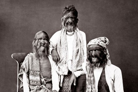 Urzeit: Die wahre Geschichte der Evolution - [GEO]