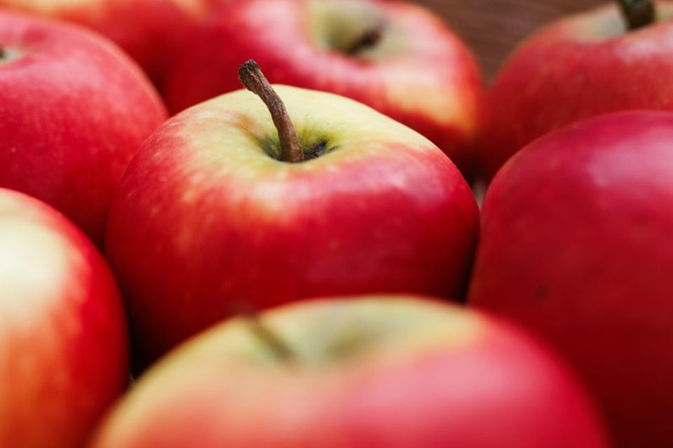 Gesundheit: Apfel für Allergiker soll im Herbst in Supermärkte kommen ...