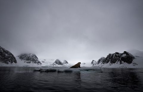 World Nature Photography Awards 2025: Das sind die schönsten Bilder - [GEO]