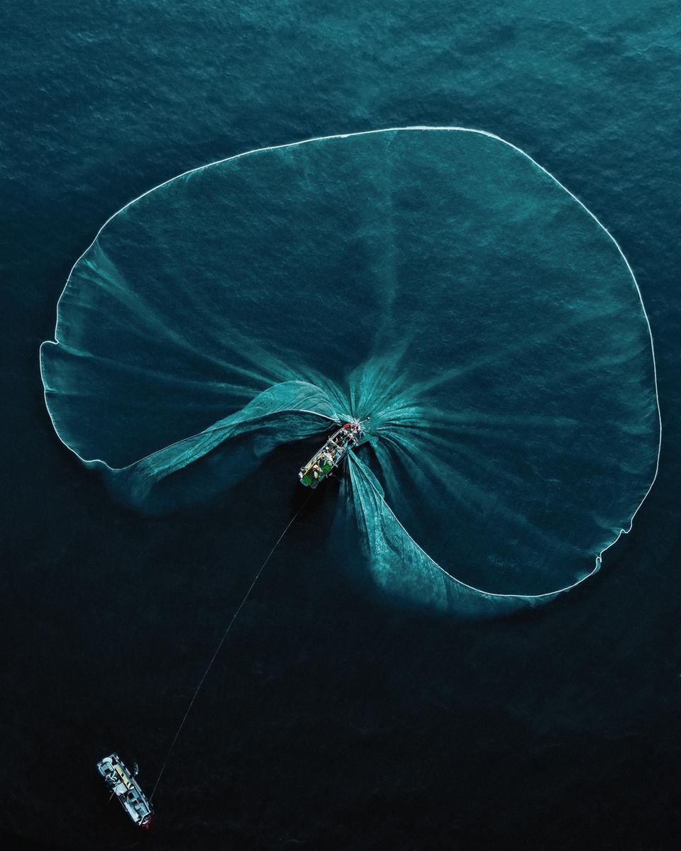 World Nature Photography Awards 2025: Das sind die schönsten Bilder - [GEO]